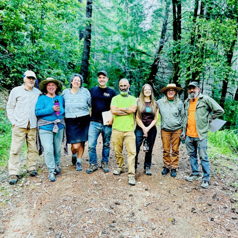 Get Involved with Sanctuary Forest! - Sanctuary Forest