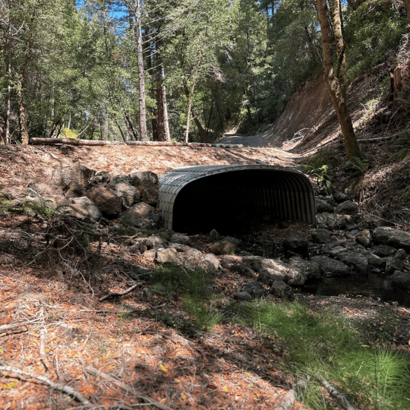 Bridge & Culvert Improvements - Sanctuary Forest
