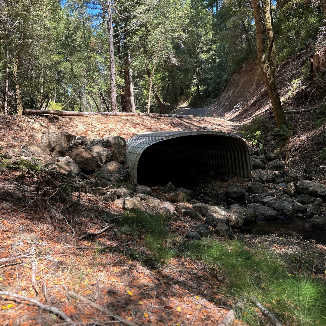 Bridge & Culvert Improvements | Bridge Installation by Sanctuary Forest